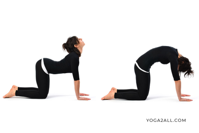Cat - Cow - Child yoga pose Archives - Yoga2all